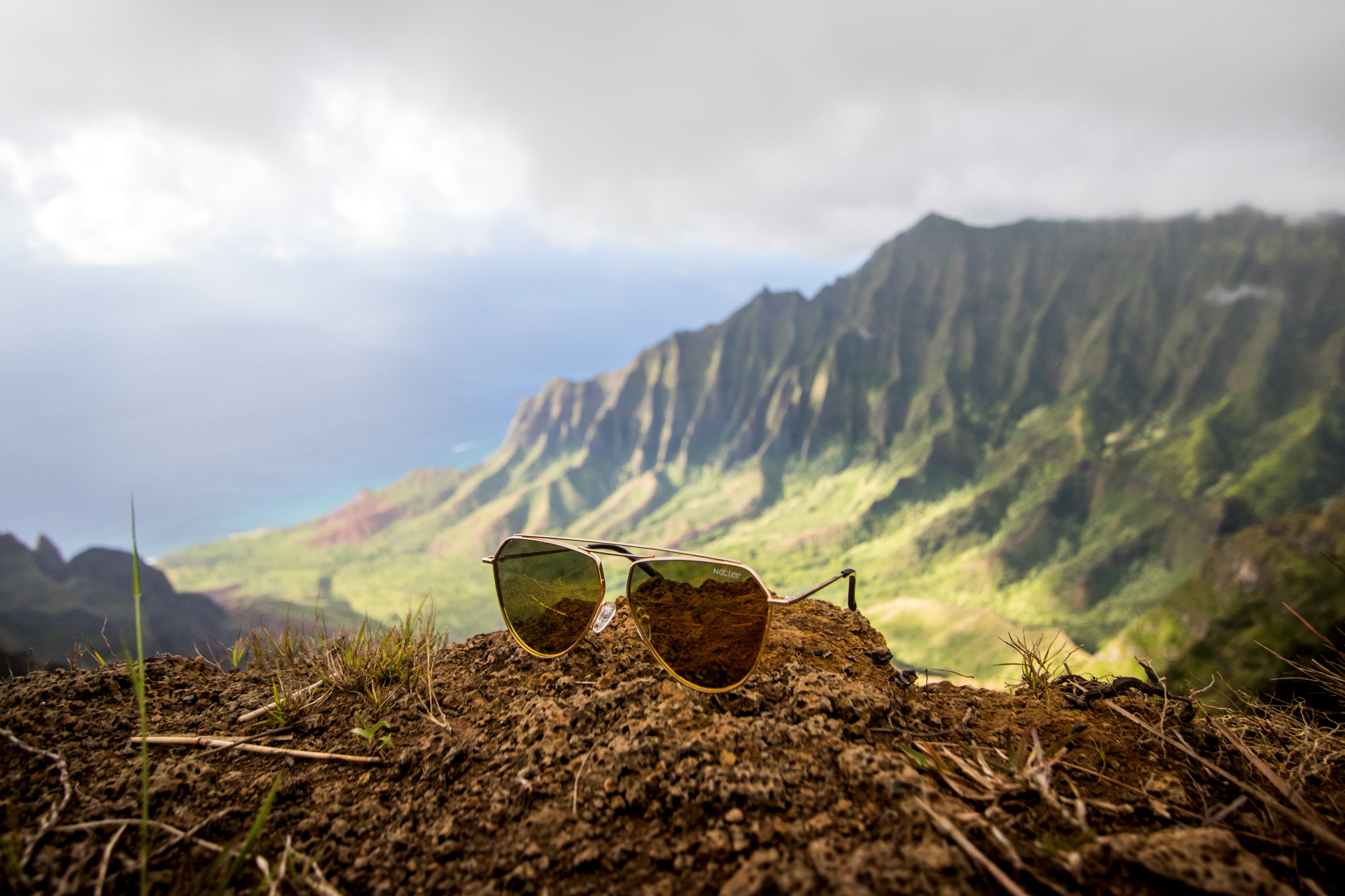 Connor Trimble | Nectar Blogs