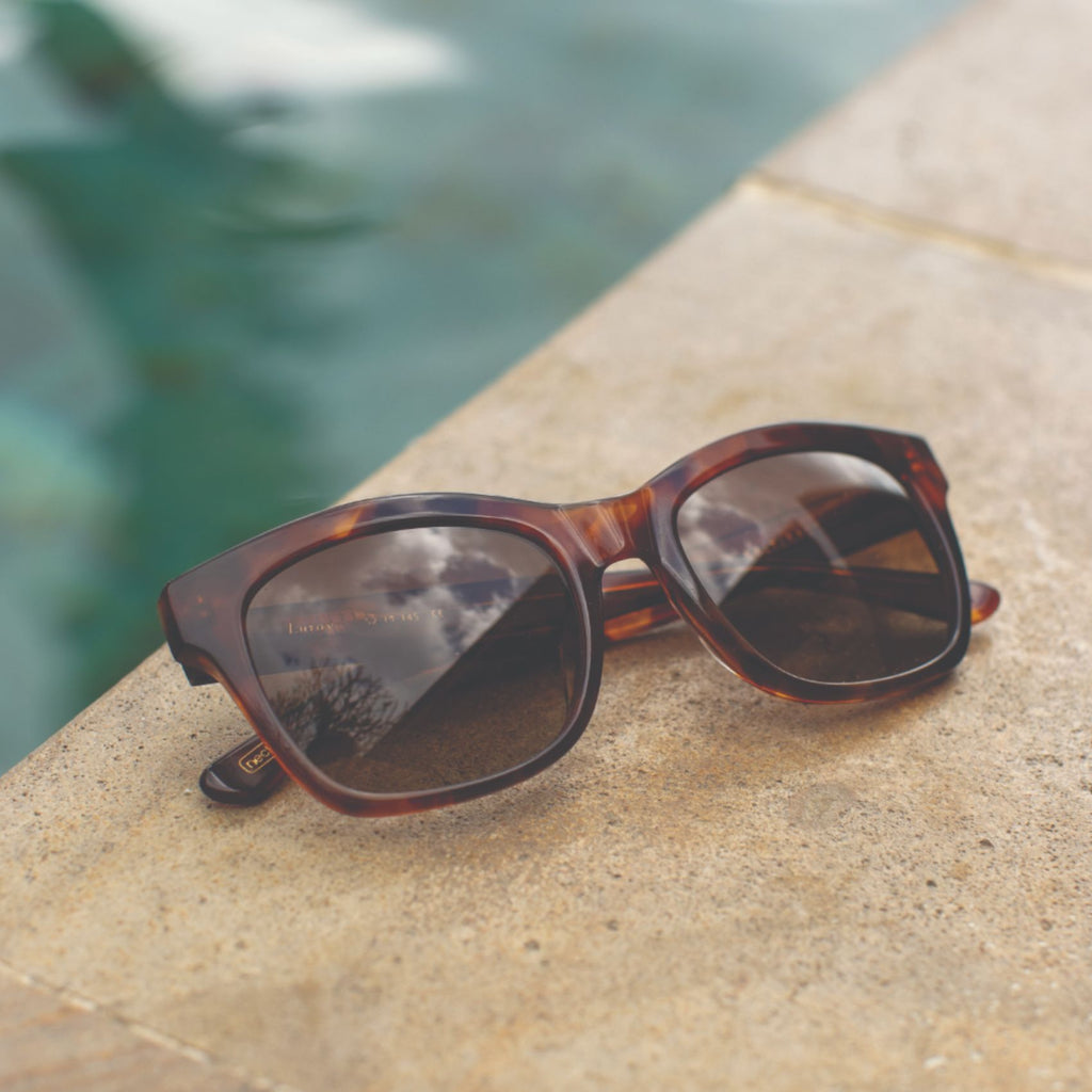 Nectar Sunglasses | Luray | Polarized Lenses | Lifetime Warranty